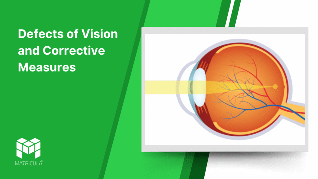 Defects of Vision and Corrective Measures - Matricula Education