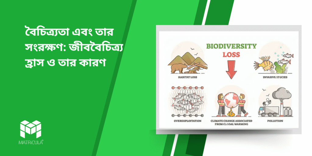 Biodiversity and Its Conservation: Causes of Biodiversity Loss ...