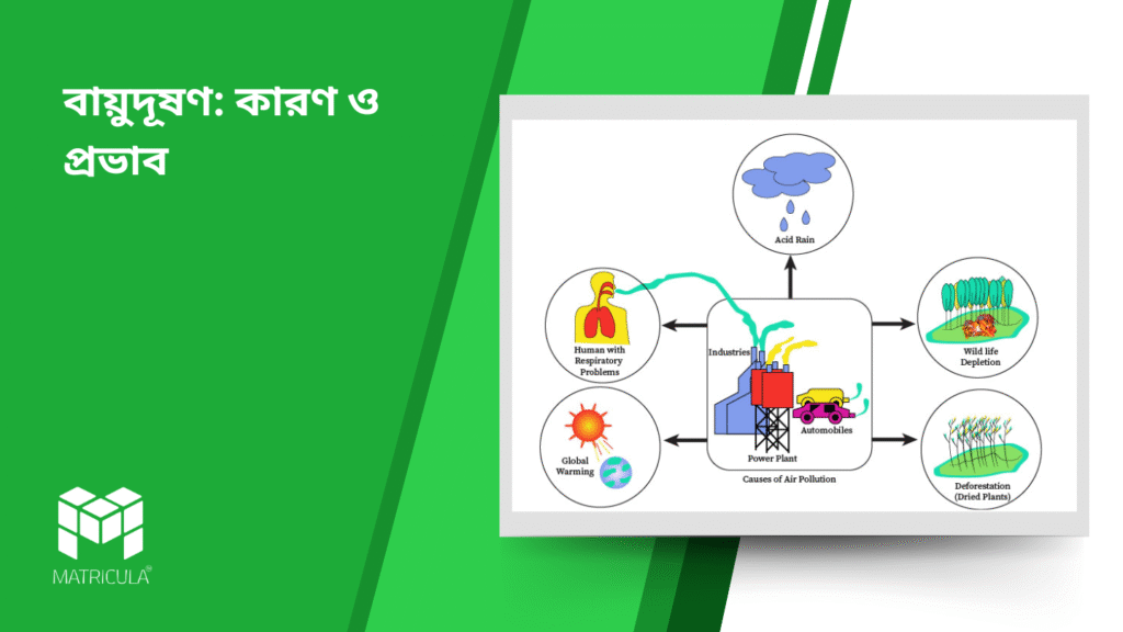Air Pollution: Causes and Effects - Matricula Education