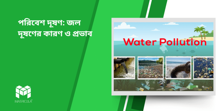 Environmental Pollution: Causes and Effects of Water Pollution ...