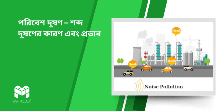 Environmental Pollution – Causes and Effects of Noise Pollution ...